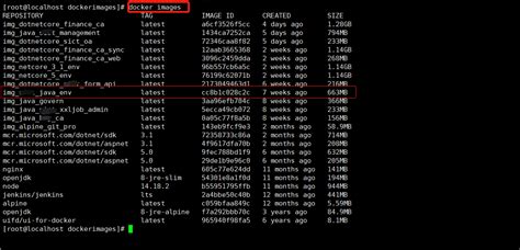 在docker中部署Jar包 雨末君 博客园