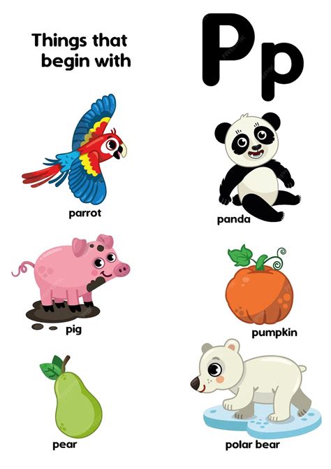 Things That Start With The Letter P Educational Vector Illustration For