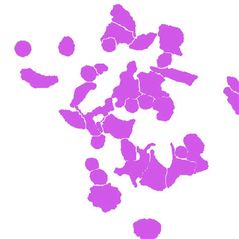 Annotated Quantitative Phase Microscopy Cell Dataset Ninja