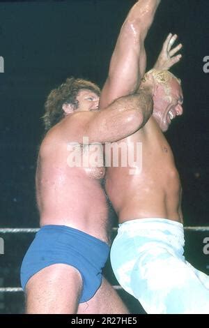 Superstar Billy Graham Ist Verstorben Bruno Sammartino Und Superstar