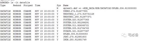 5asmcmd管理asm文件 Oracle Asm全解析