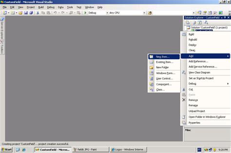 Criando Um Tipo De Custom Field No Wss 30