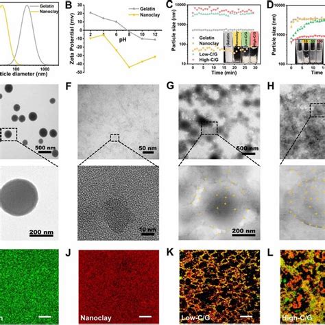 The Evaluation Of Colloidal Assembly Driven By Electrostatic