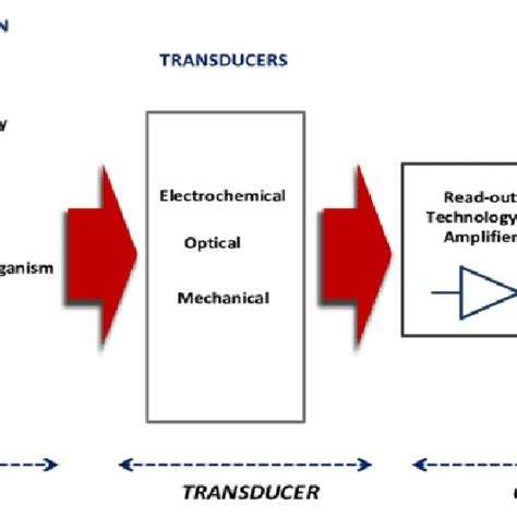 A Biosensor Is Shown Generally As Having Three Parts A Detector A