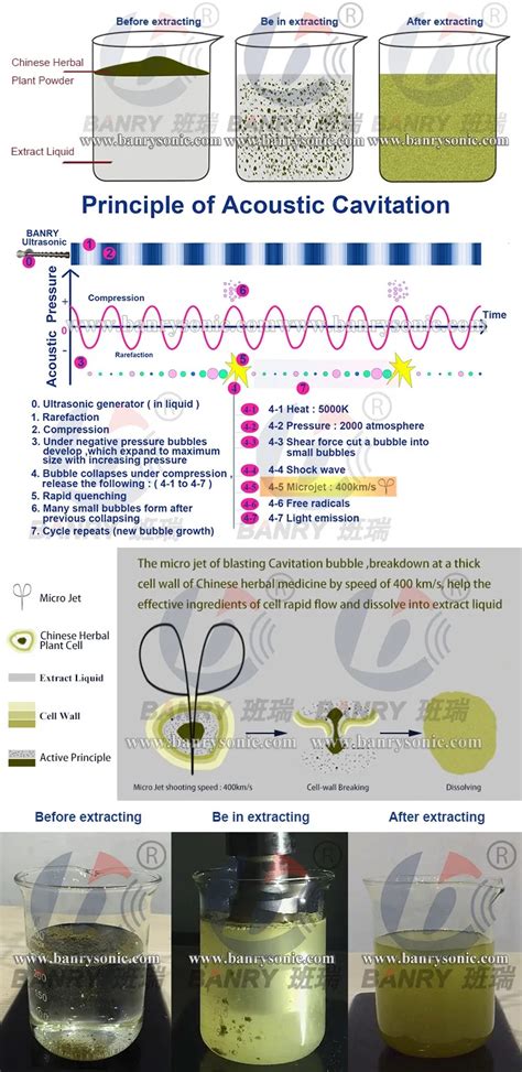 Lab Industrial Ultrasound Ultrasonic Plant Cell Wall Breaking Extraction Machine Buy Plant
