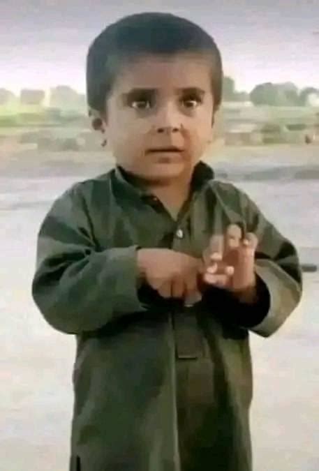 කටුස්සා 💀