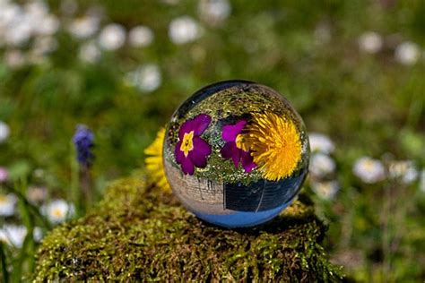 Crystal Ball Purple Background Images Hd Pictures And Wallpaper For
