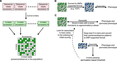 Pipeline For K Mer Based Gwas A Creating The K Mer Presenceabsence Download Scientific