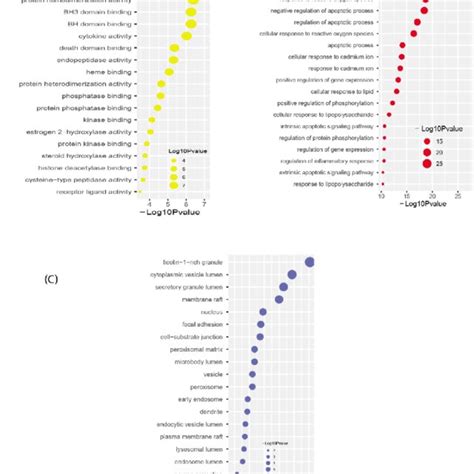Functional Enrichment Analyses Of Differentially Expressed Genes Degs