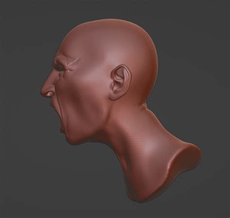 Archivo Stl Yelling Male Head ♂️ ・plan De Impresora 3d Para Descargar・cults