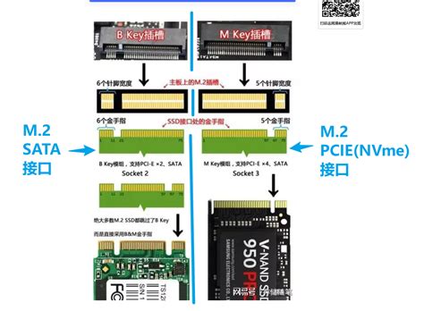 Ssd接口：pcie是物理接口还是协议的两种观点 Fbshark 博客园
