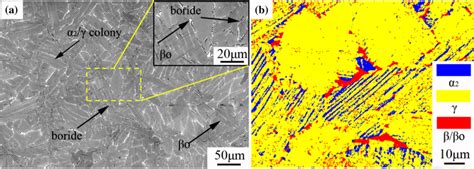 Microstructure Of The As Cast Tnm Alloy A As Cast Microstructure Under Download Scientific