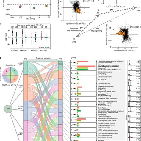 Charting Protein Trajectories During Cell Type Transitions Using Download Scientific Diagram