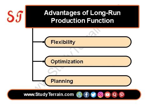 Types Of Production Functions: Short & Long Run Insights