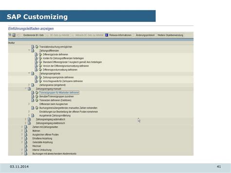 PPT SAP Customizing PowerPoint Presentation Free Download ID
