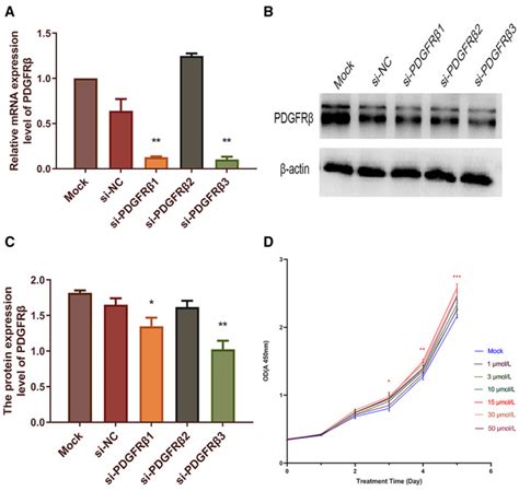 Downregulation of PDGFRβ suppresses invasion and migration in osteosarcoma cells by influencing