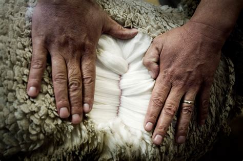 Merino Wool Mantel
