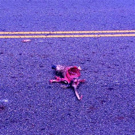 Compound Fracture Youtube