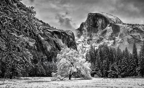 Michael Doven Photography Blog Michael Doven Photography