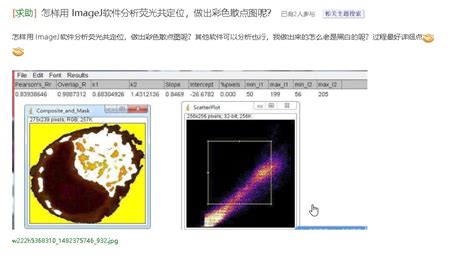 Image J进行荧光共定位分析 如图所示 张老湿科研绘图