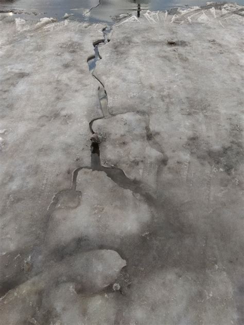 社会保障費タダ乗り移民政策の実行者は日本側に存在する？移民を入れた国が壊れた！ 葛飾区”” アトリエ画譜 えふ 【旧コロナラボ】ﾏﾙﾁｱﾅﾘｽﾄ画譜のブログ】