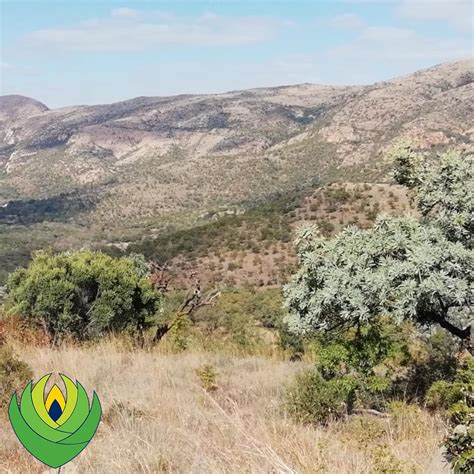 [talking Lebone Ii College Of The Royal Bafokeng