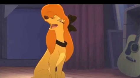 Animash Timber Youtube