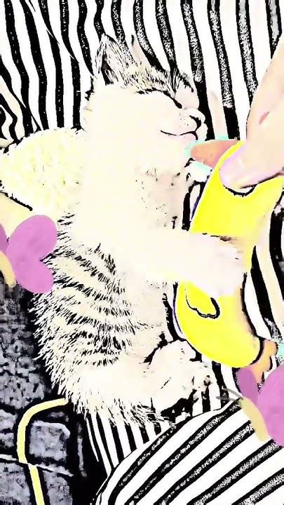 Cute Aestethic 🍰 Youtube