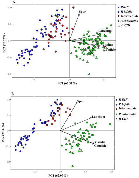 Principal Component Analysis Pca Based On Morphological Flower Download Scientific Diagram