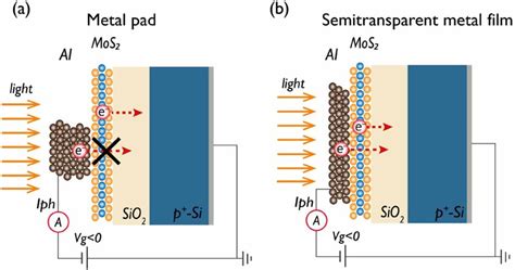 Schematic Of The Photoinjection Experiment In Al Mos2 Sio2 Si Download Scientific Diagram