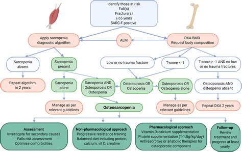 Clinical Algorithm To Assess And Manage Osteosarcopenia Alm
