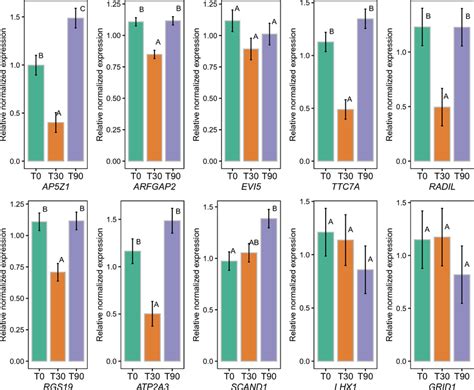 Bar Plot With Relative Normalized Gene Expression Of Tested Genes Among