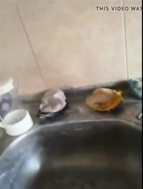 Brounte Iran Eporner