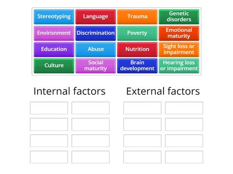 Internal And External Factors Affecting Development Group Sort