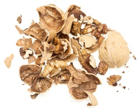 Walnut Shell Stock Image Image Of Healthful Crust 272455977