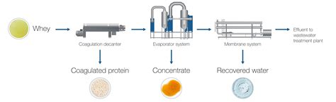 Whey Treatment In Plant Based Protein Processing Alfa Laval