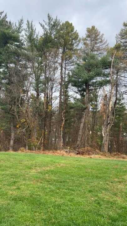 Michael Vencel On Linkedin Comportunplugged Team Learning Culture Recharge