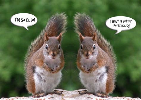 Happy Twins Day Red Squirrel Humor Cute And Personality Card Ad Ad Day Red Happy