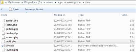Problème avec balise par Phosty page 1 OpenClassrooms