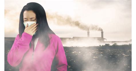 Air Pollution Influences Obesity In Women