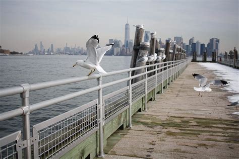 Get Started With The Combine Framework In Ios By Rahul Garg Better Programming