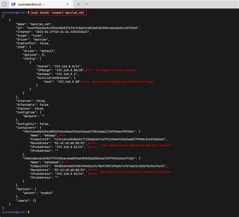 Macvlan Network Driver Assign Mac Address To Docker Containers Eu