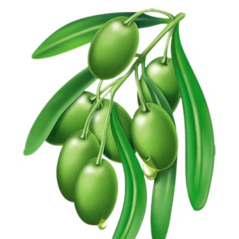 سائد عابد Youtube