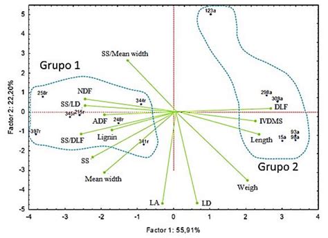 Projection Of 13 Accessions 14 Variables In The Plane Formed By The