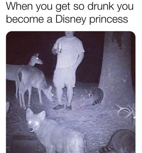 Disney Princess Memes