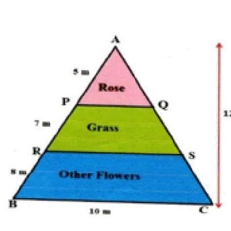 CBSE Class Maths Case Study Based Questions CSQ Questions