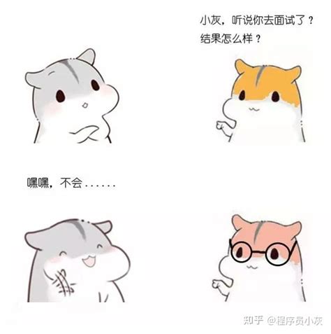 一个37岁程序员的现状 知乎