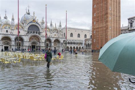 Venice Italy November 12 2019 St Marks Square Piazza San Marco