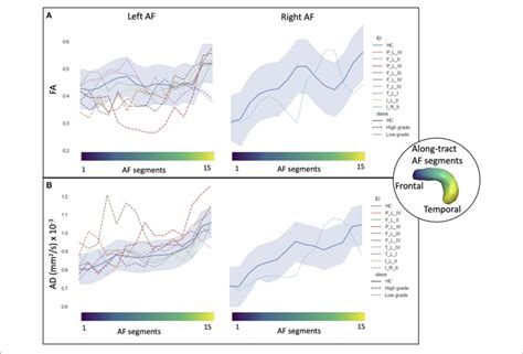 Along Tract Diffusion Tensor Imaging Dti Measures A Fractional Download High