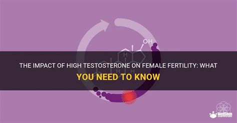 The Impact Of High Testosterone On Female Fertility What You Need To